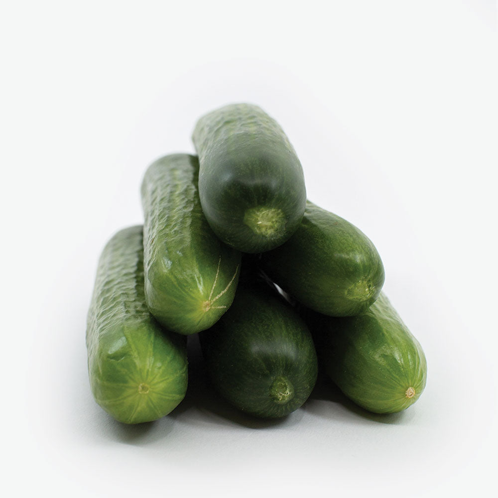 Mini Cukes – Floating Gardens