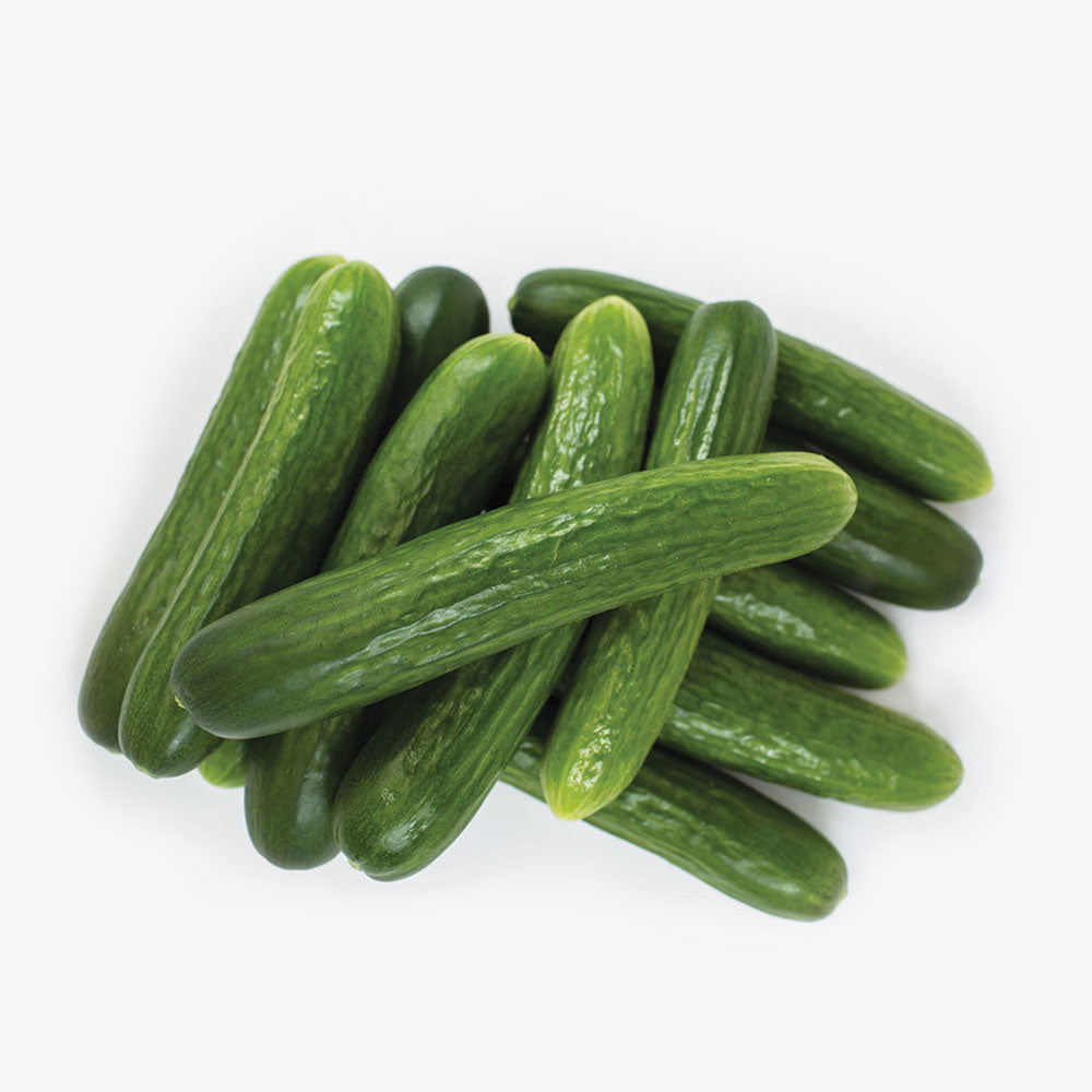 Mini Cukes – Floating Gardens